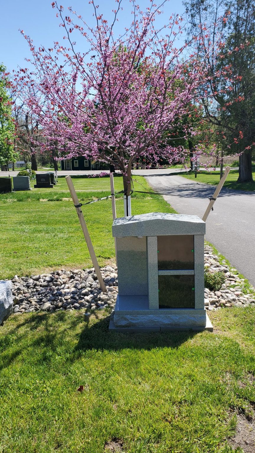 Our Cemeteries – Immaculate Conception Church